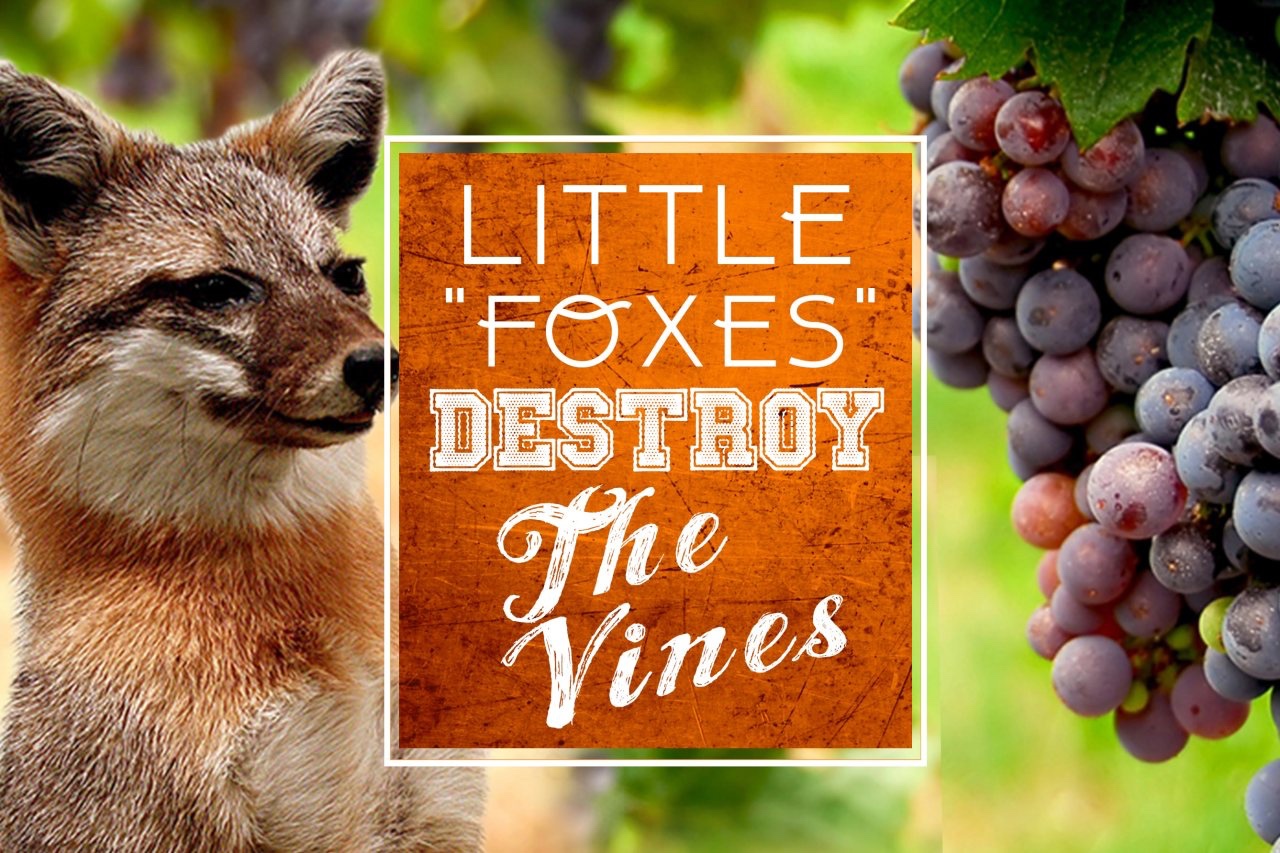 Shooting Down The Little Foxes – Lisa Great