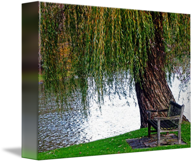 Where You Sit Matters – Lisa Great